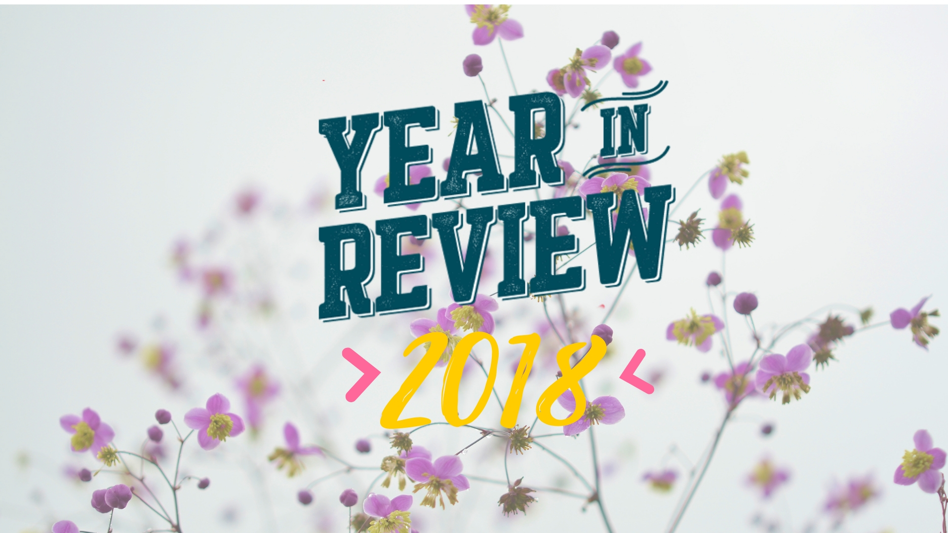 Crystal Neri | 2018: Year in Review - Crystal Neri